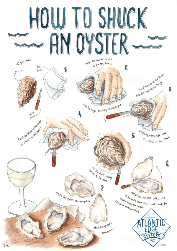 How to shuck an oyster - Atlantic Edge Oysters